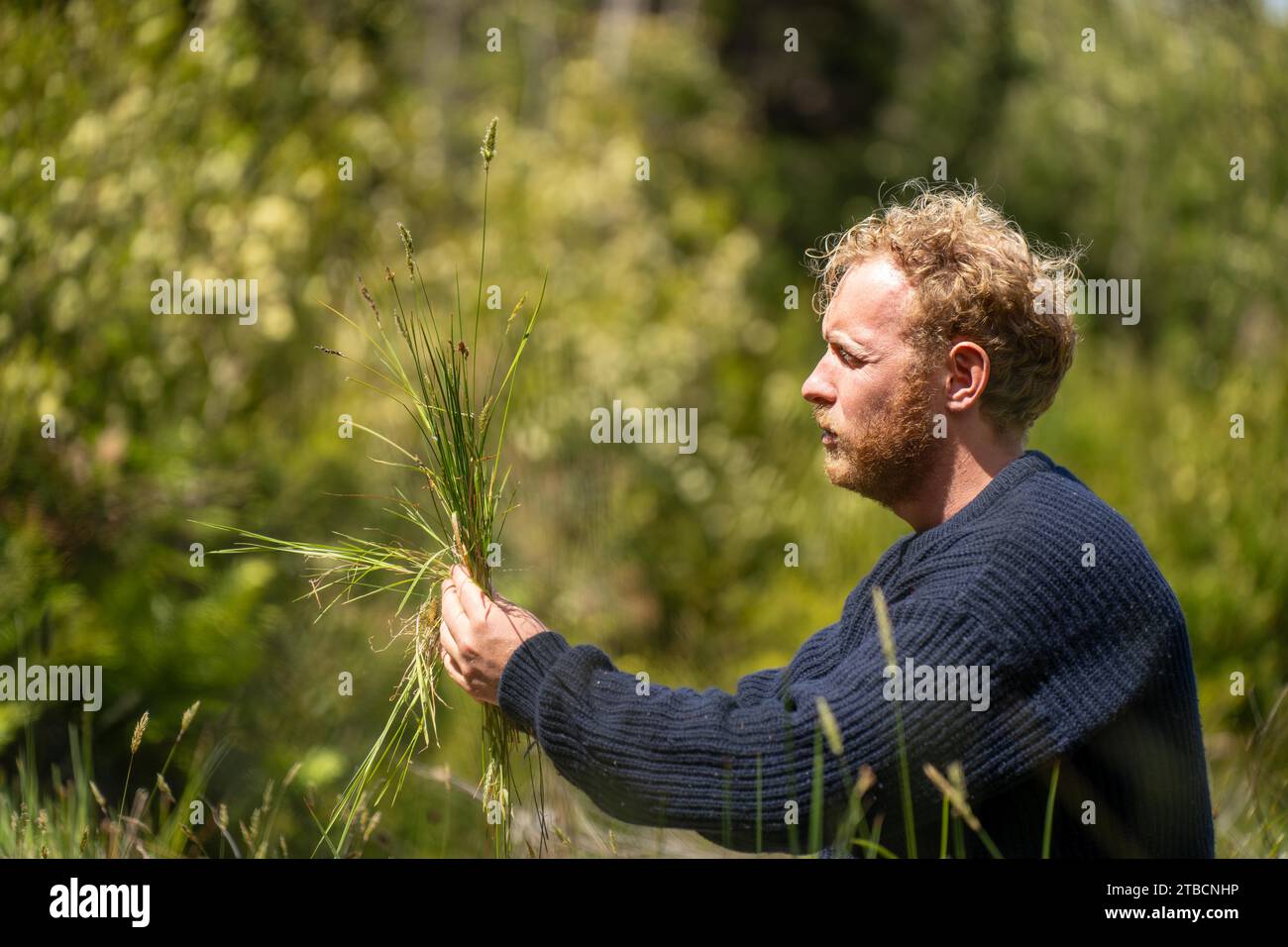 plant and soil agronomy by a farmer in a field on a farm Stock Photo ...