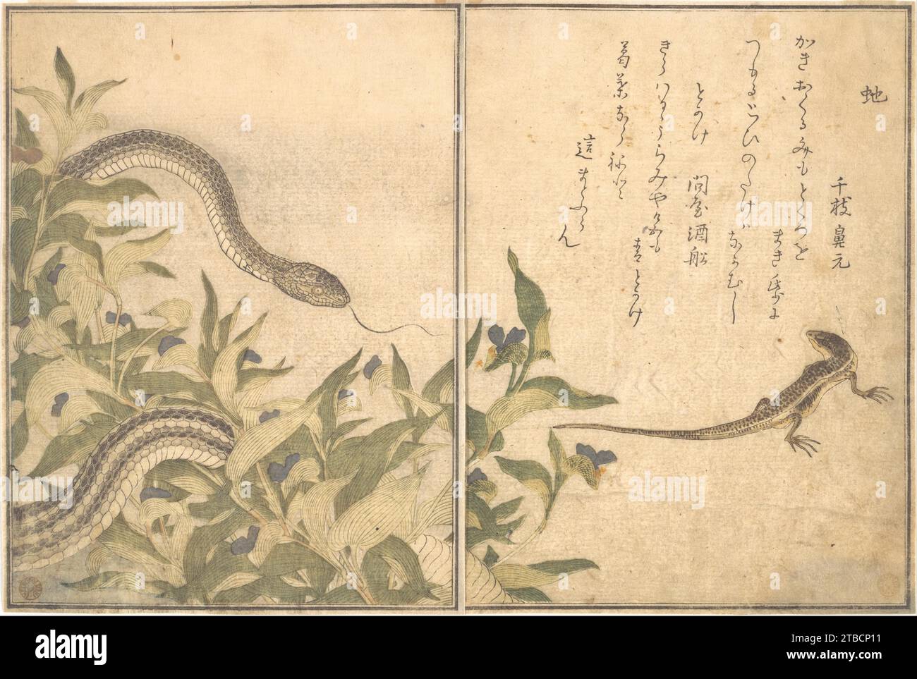 Rat Snake (Hebi); Lizard or Skink (Tokage), from the Picture Book of ...