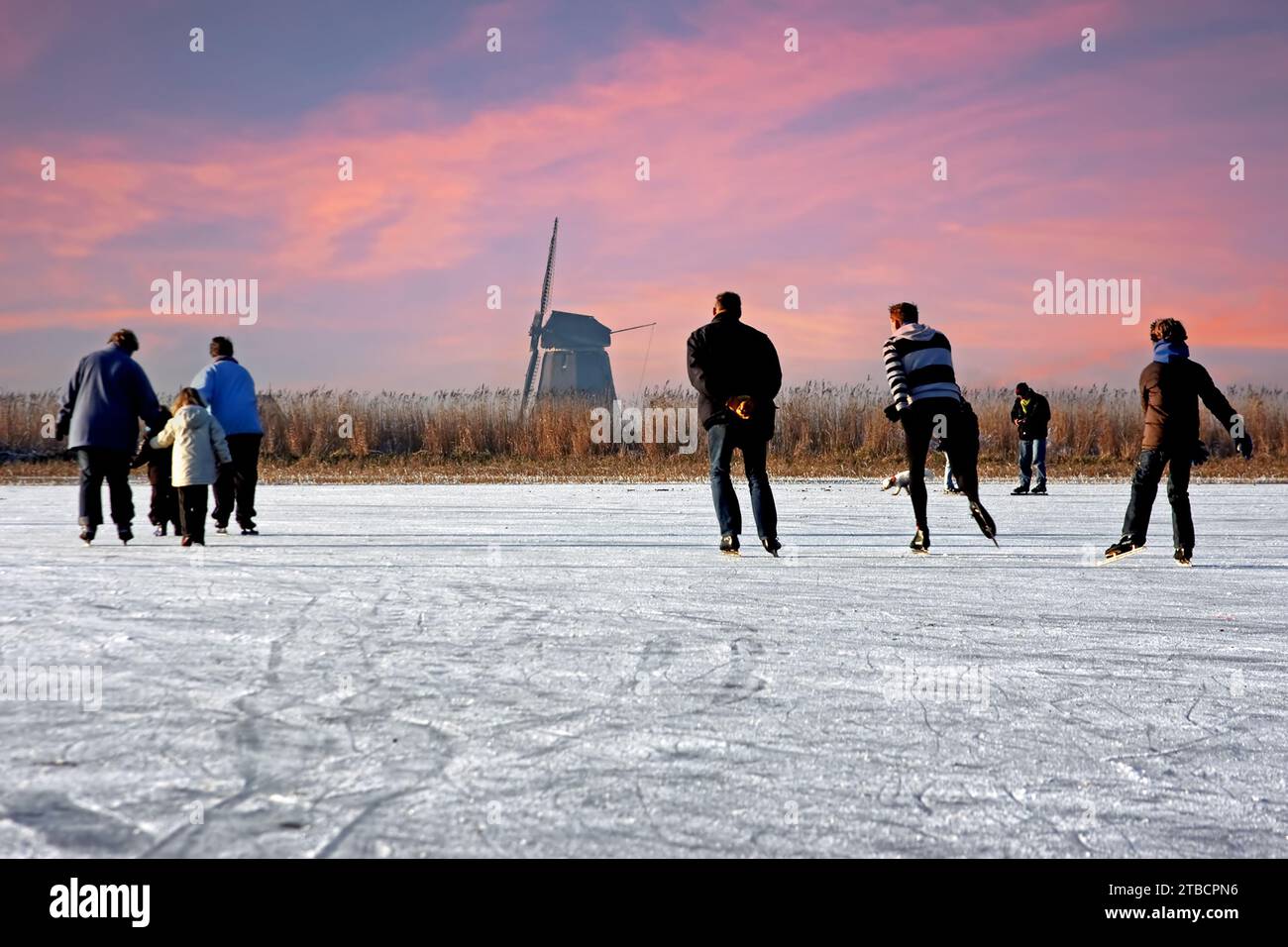 Netherlands skating purple hi-res stock photography and images - Alamy