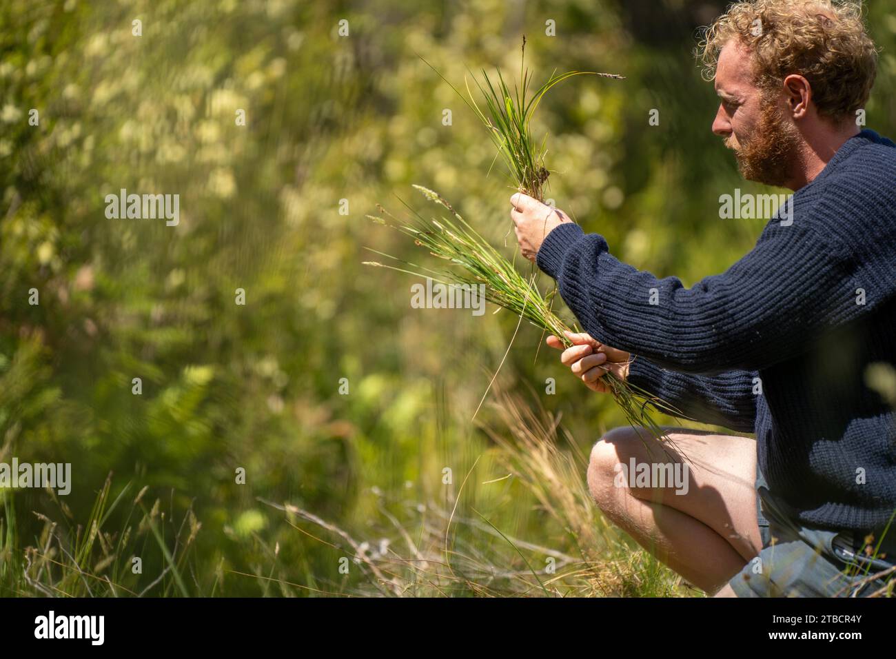 soil agronomy on a farm in australia in spring Stock Photo - Alamy