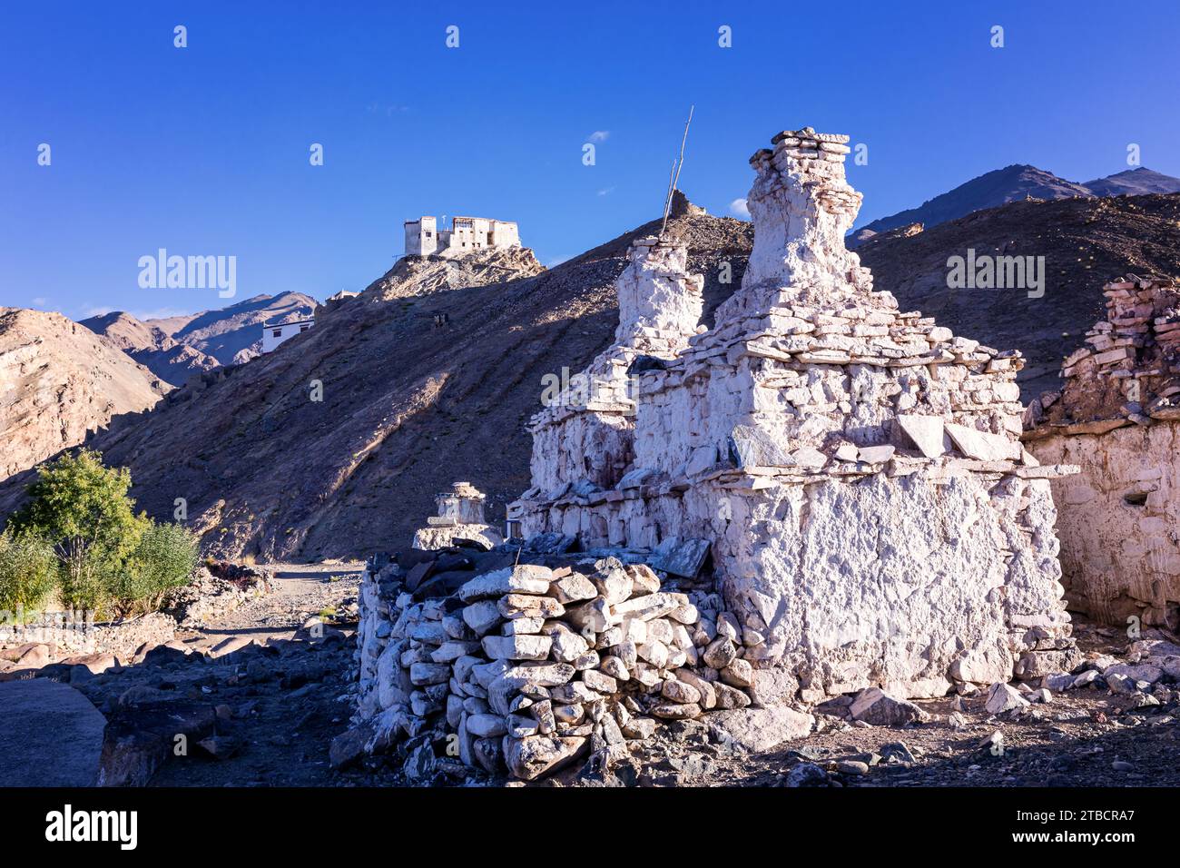 Stupas in front of Nyoma Gompa (Monastery), Ladakh, India Stock Photo ...