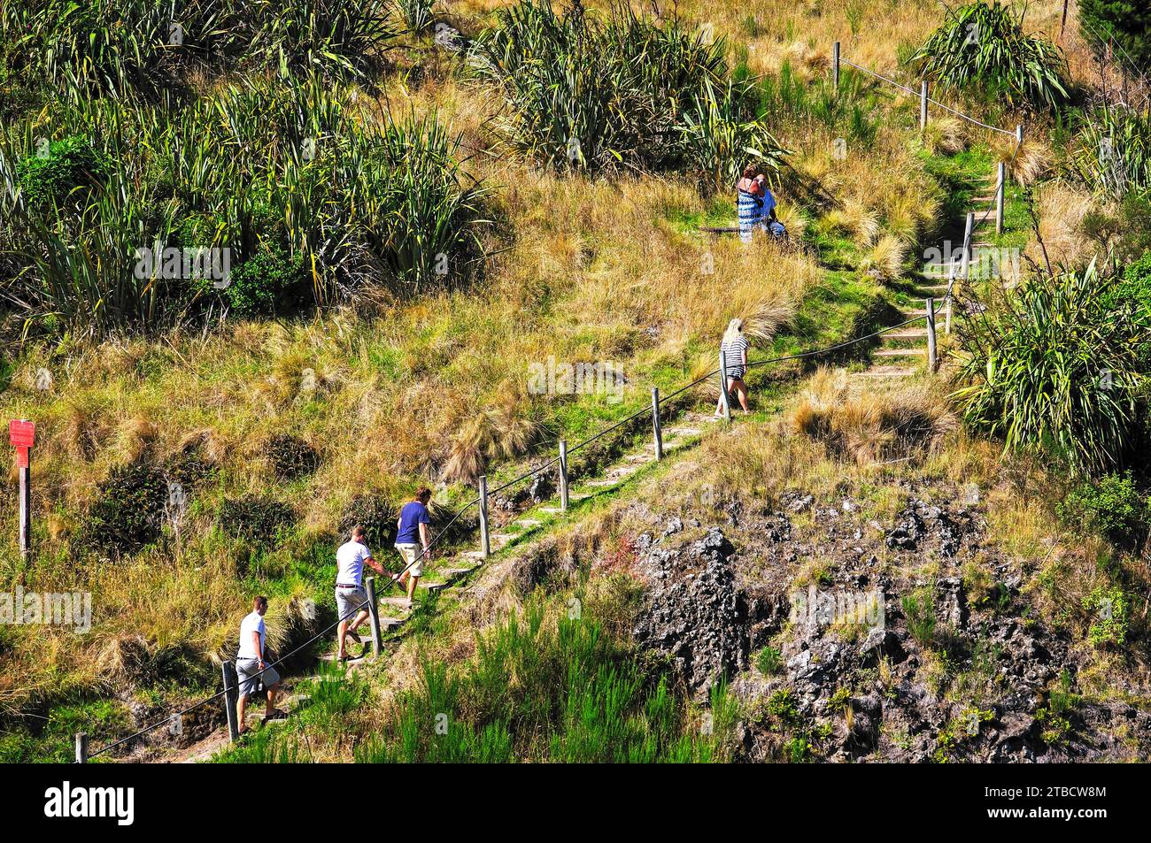Mitchells track hi-res stock photography and images - Alamy