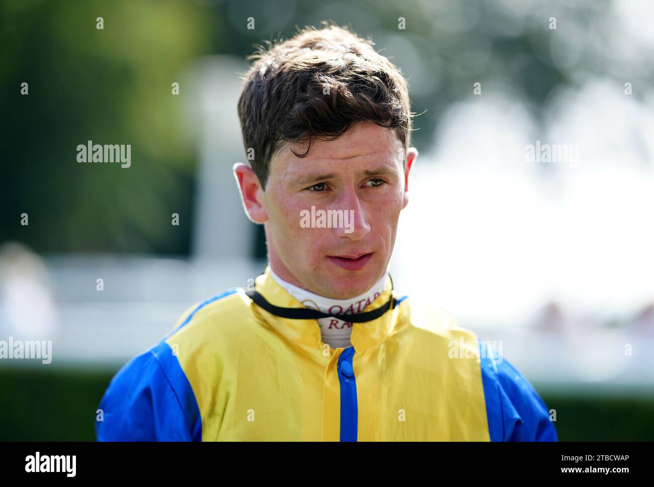 Uniqueant hi-res stock photography and images - Alamy