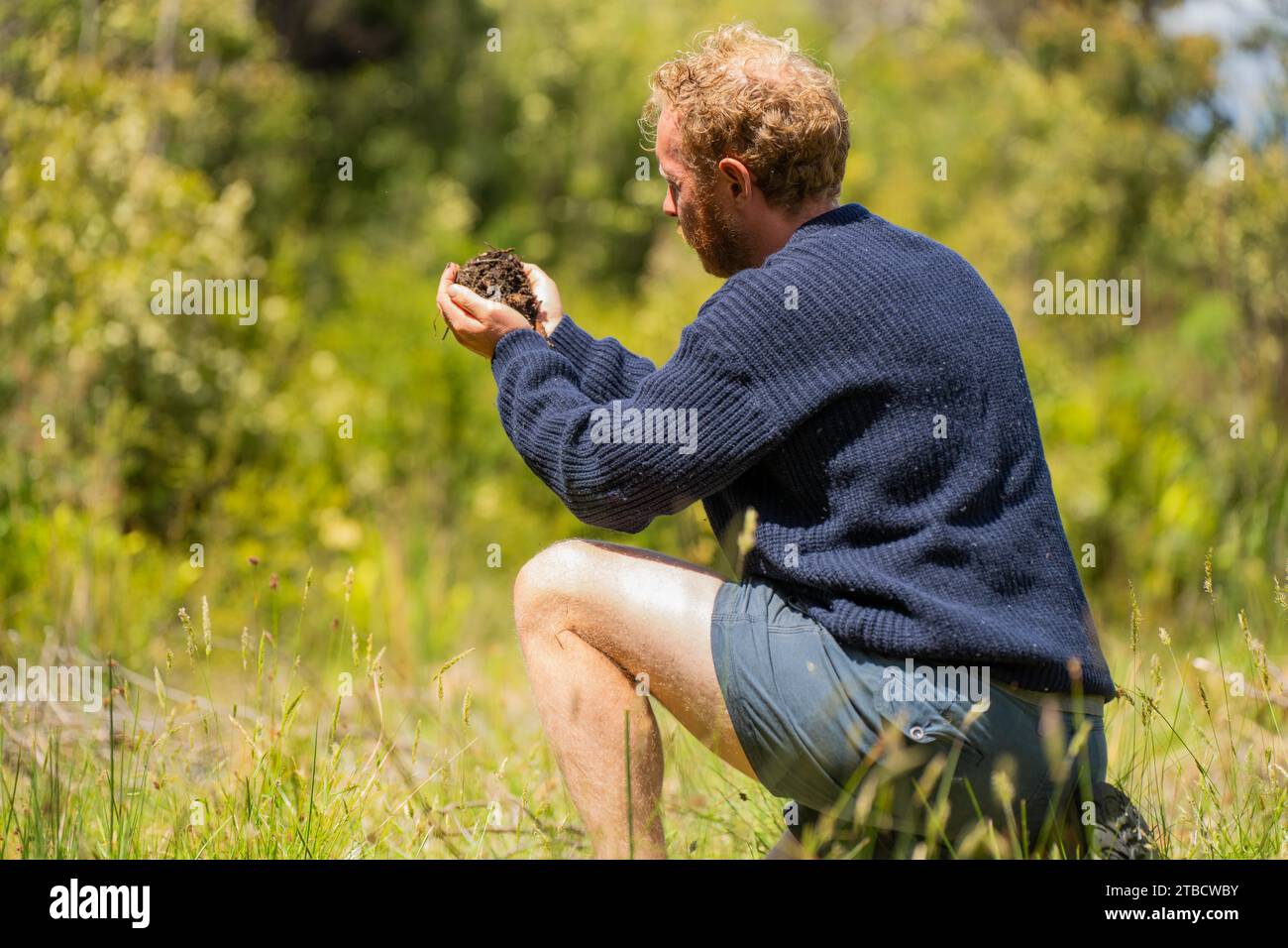 plant and soil agronomy by a farmer in a field on a farm Stock Photo ...
