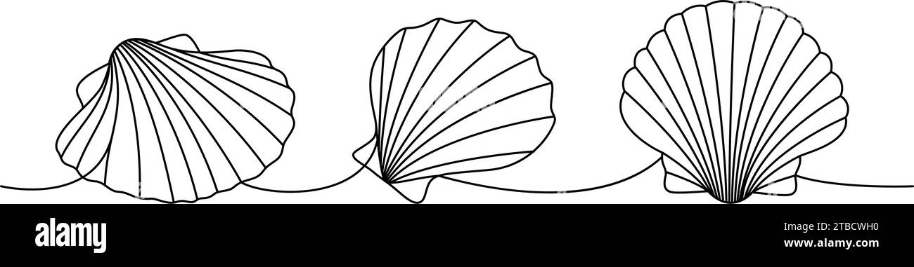 Underwater shells. Sea shells, mollusks, scallop, pearls. Tropical ...