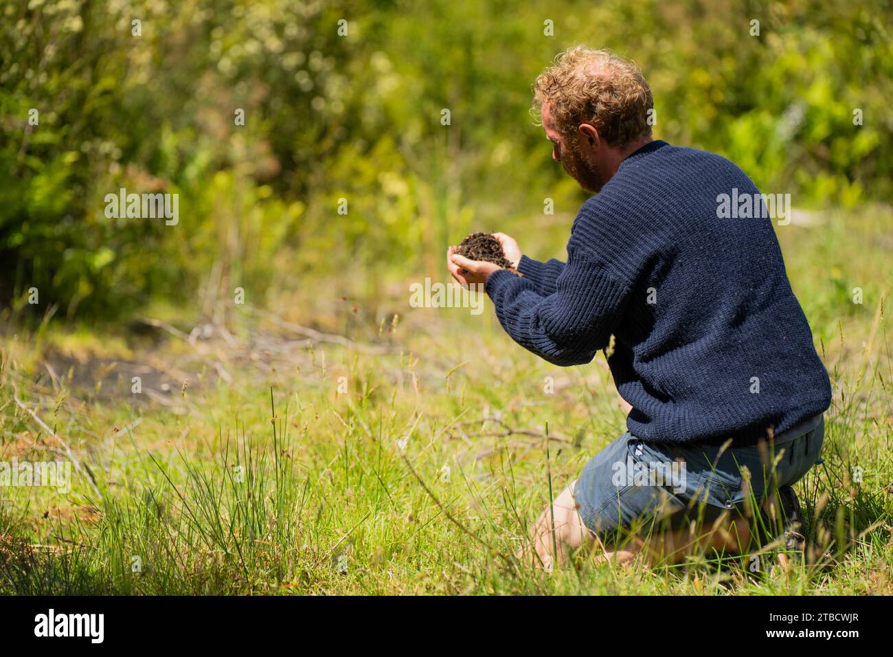 plant and soil agronomy by a farmer in a field on a farm Stock Photo ...