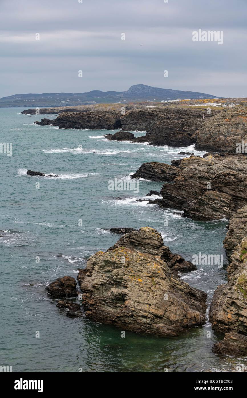 Rugged coastline between Rhoscolyn and Trearrdur Bay on the west side ...