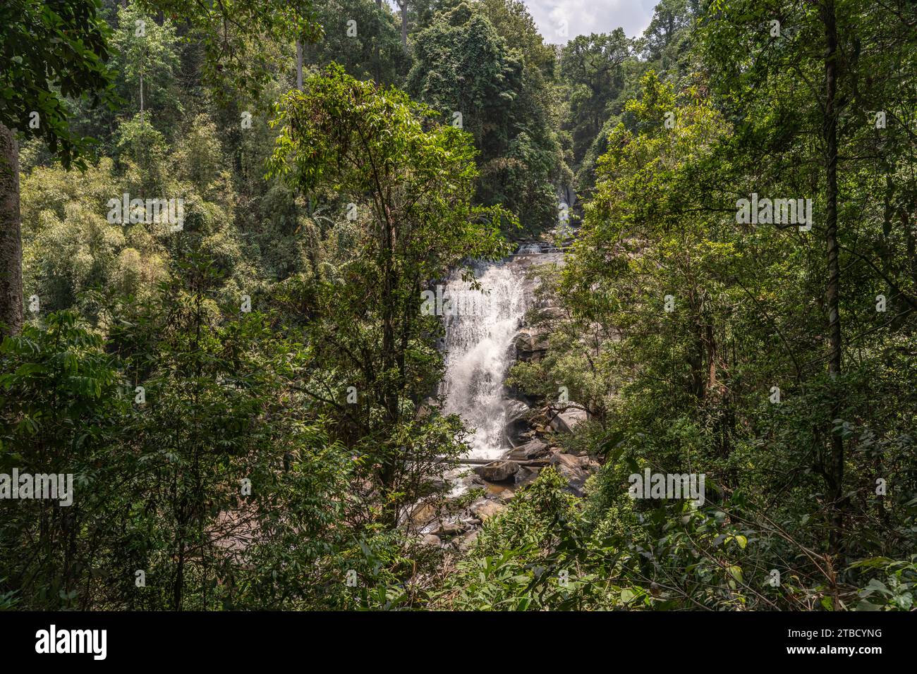 Doi inthanon nationalpark hi-res stock photography and images - Alamy