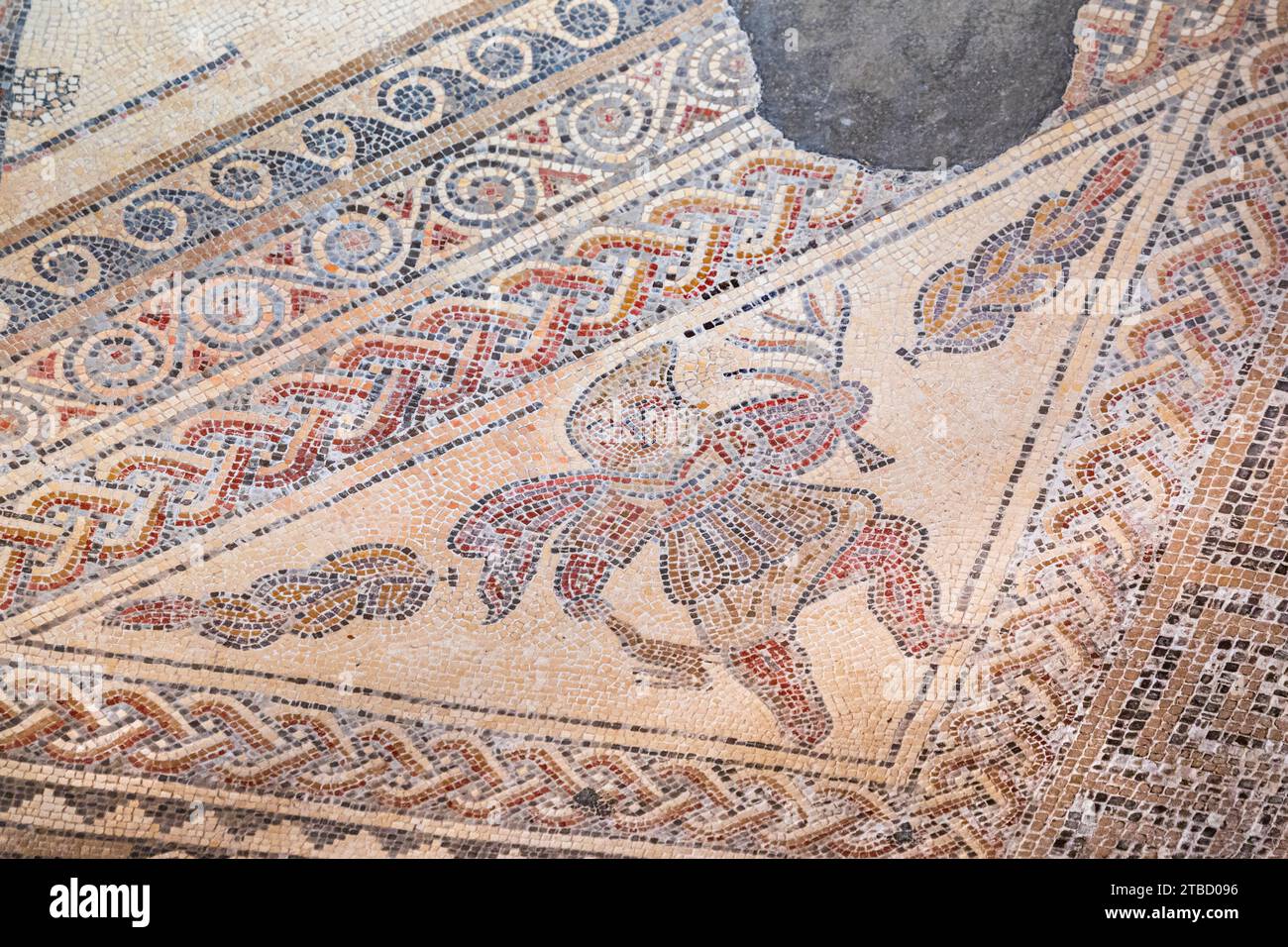 Roman mosaic britain hi-res stock photography and images - Alamy