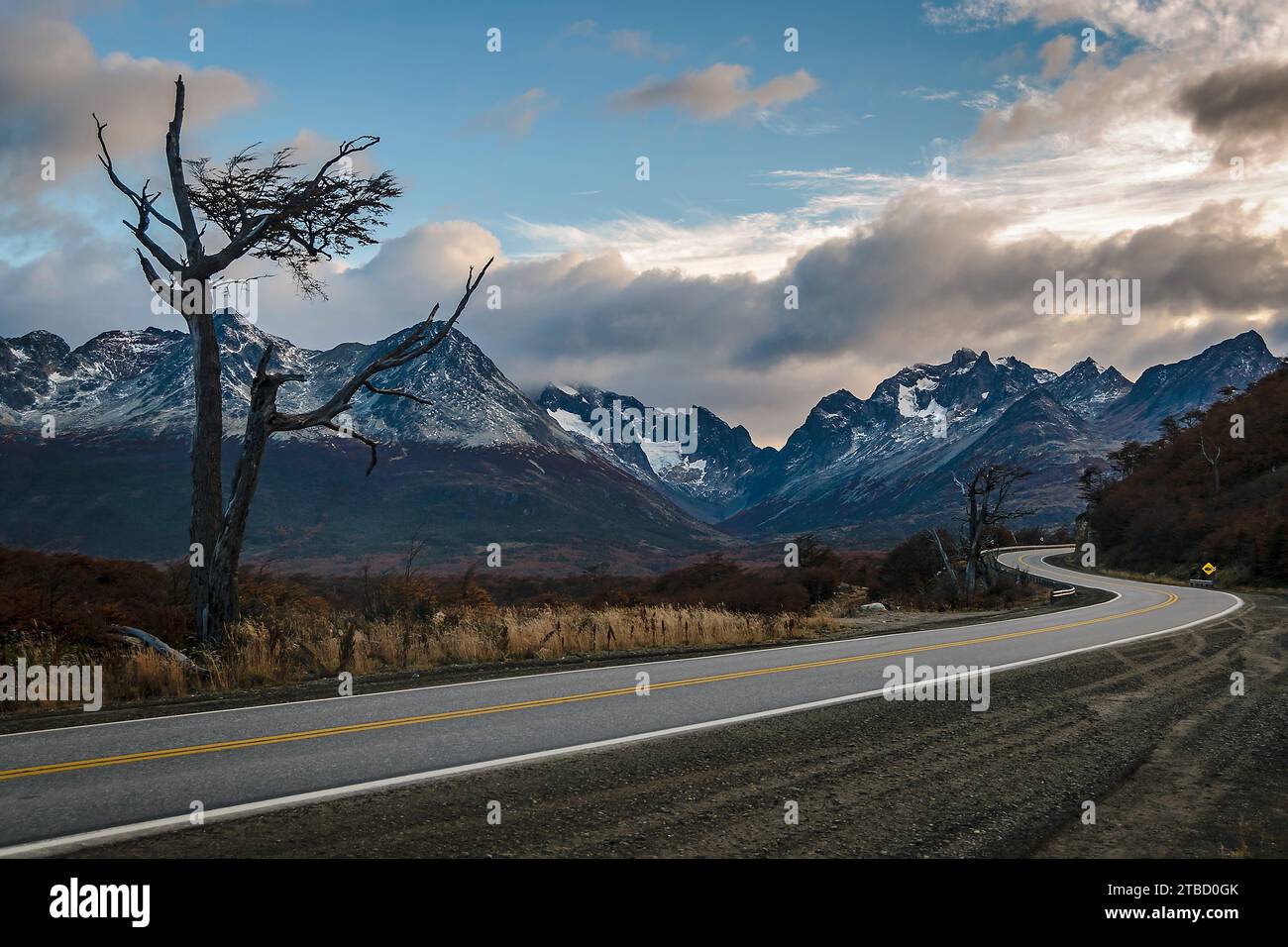 Highway crossing patagonian forest landscape environment, tierra del ...