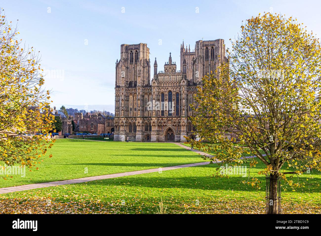 Autumn colours on the cathedral green in front of the west front of ...