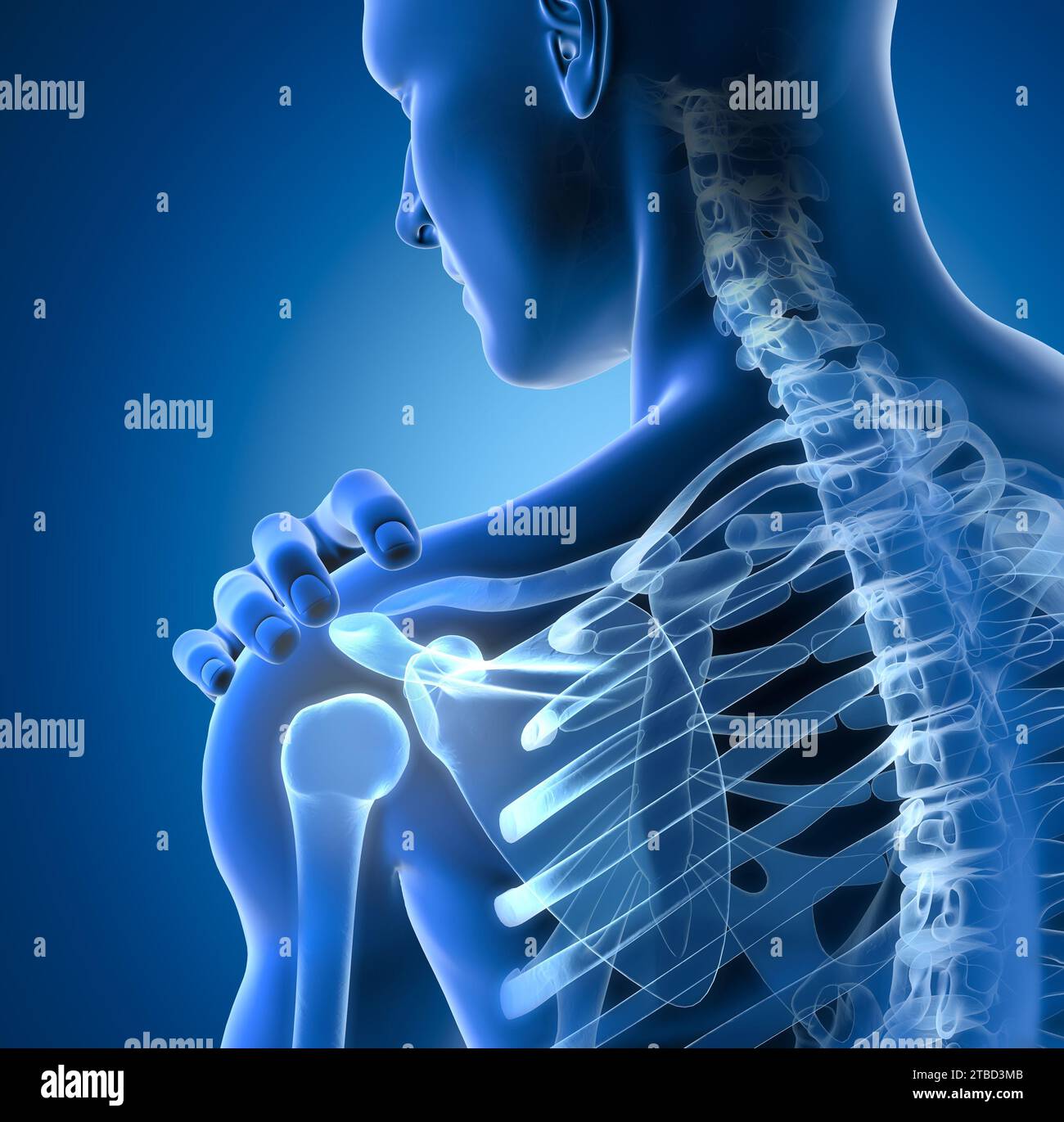 Subacromial bursitis hi-res stock photography and images - Alamy