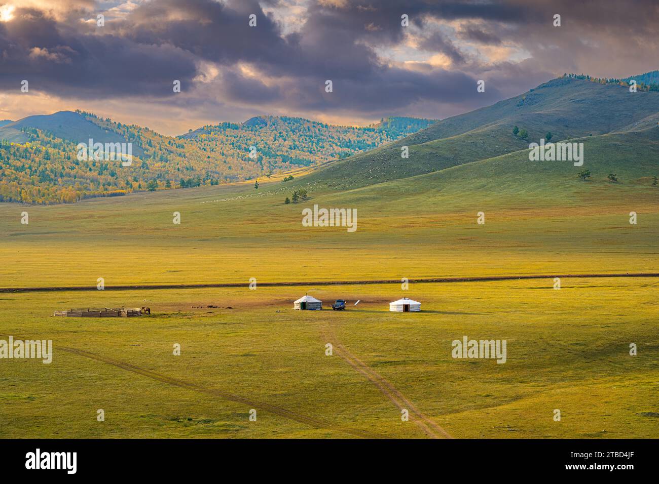 Fall time in Mongolian Selenge province Stock Photo - Alamy