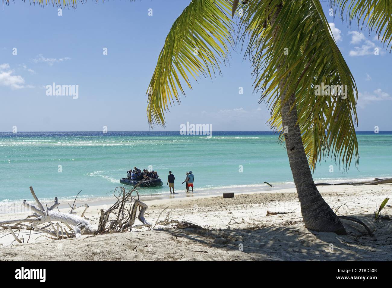 Beach, Zodiac dinghy, palm tree, flotsam, UNESCO World Heritage Site ...
