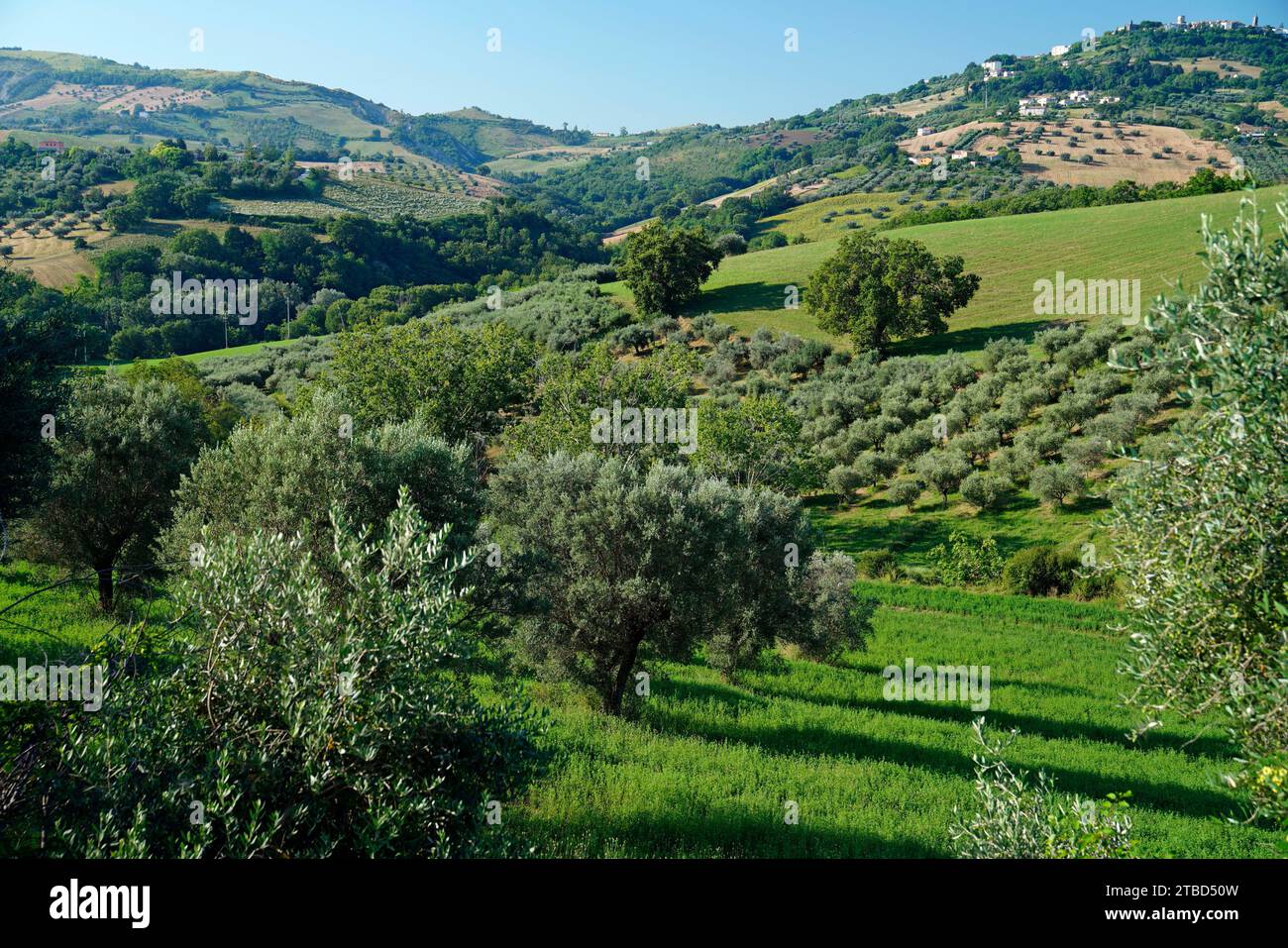 Nature,Region Abruzzo, Italy Stock Photo - Alamy