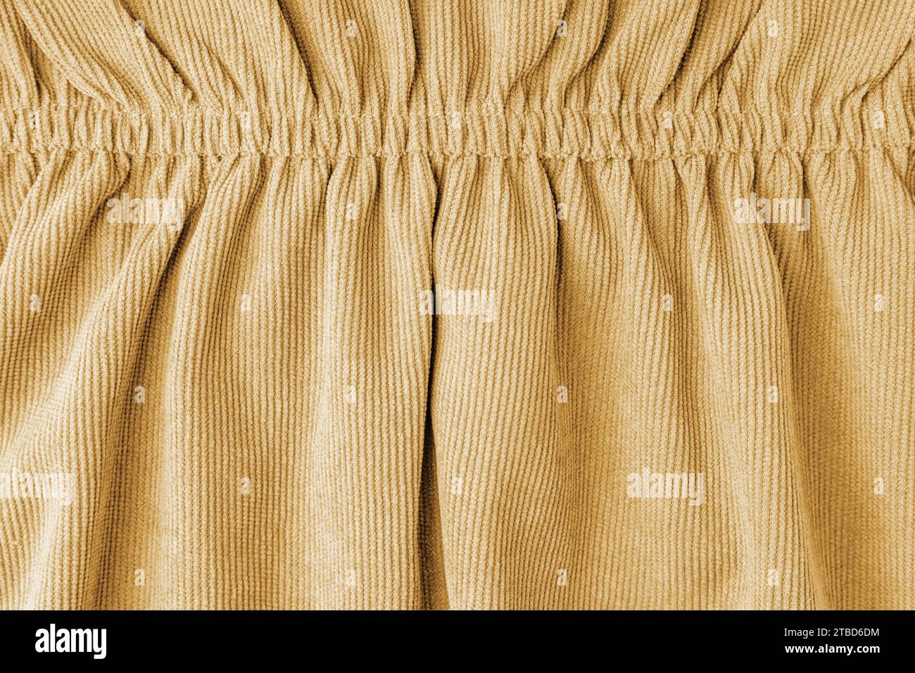 Yellow corduroy fabric gathered with elastic close-up. Velveteen ...