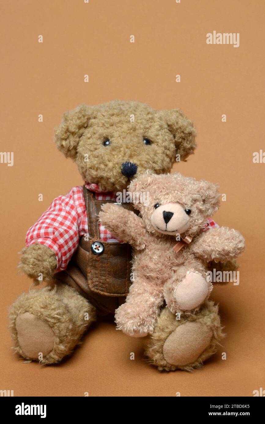 Two teddy bears, sitting, in front of a brown background, teddy Stock ...
