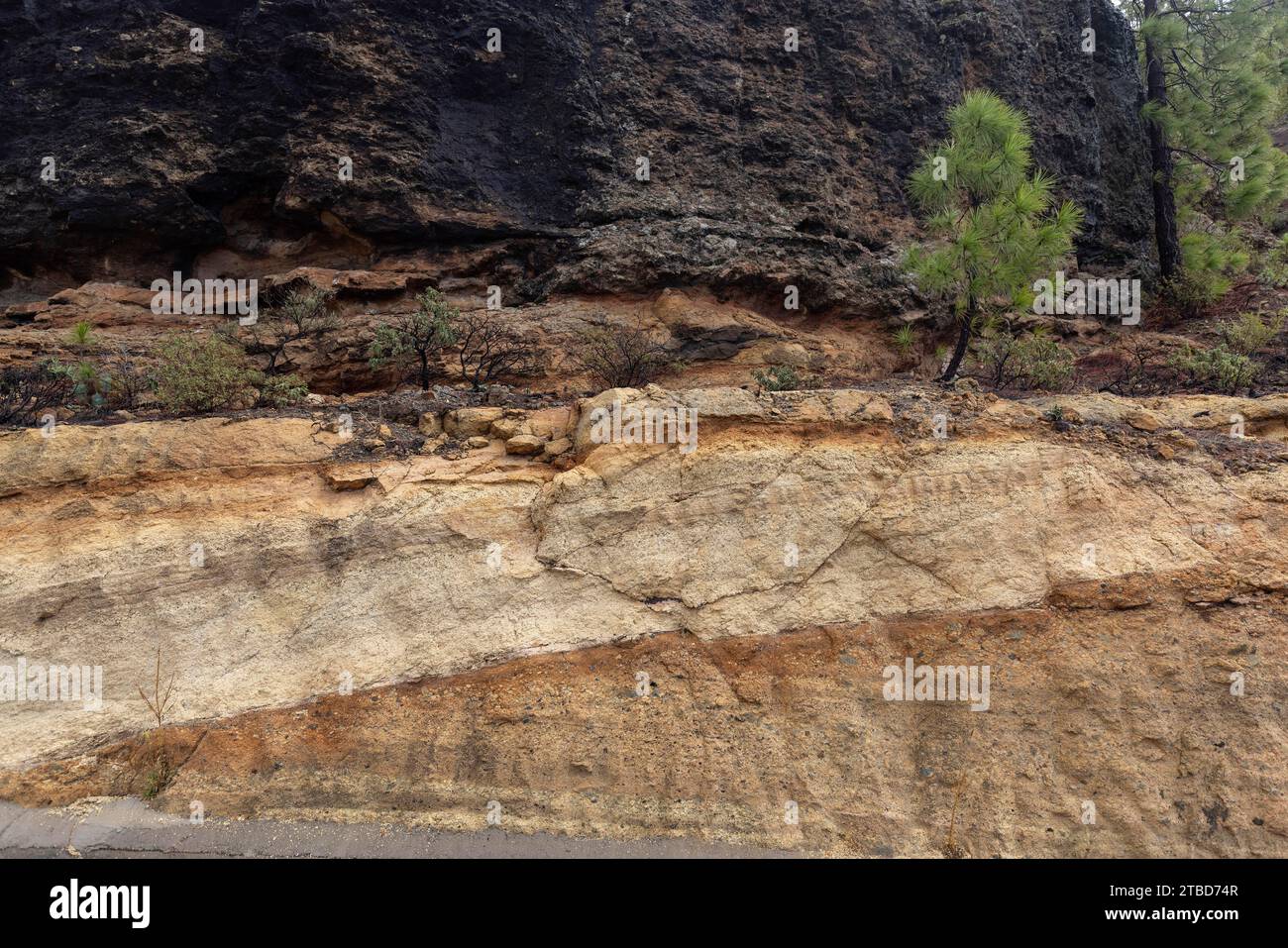 Geological outcrop, volcanic strata at Mirador Degollada de la Cruz ...