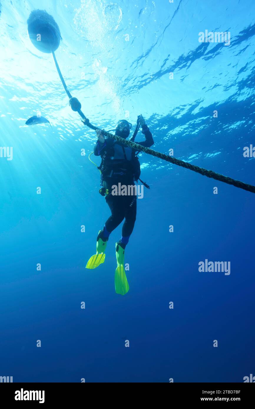 Diver making a safety stop at a buoy. Dive site Giens Peninsula, Cote ...