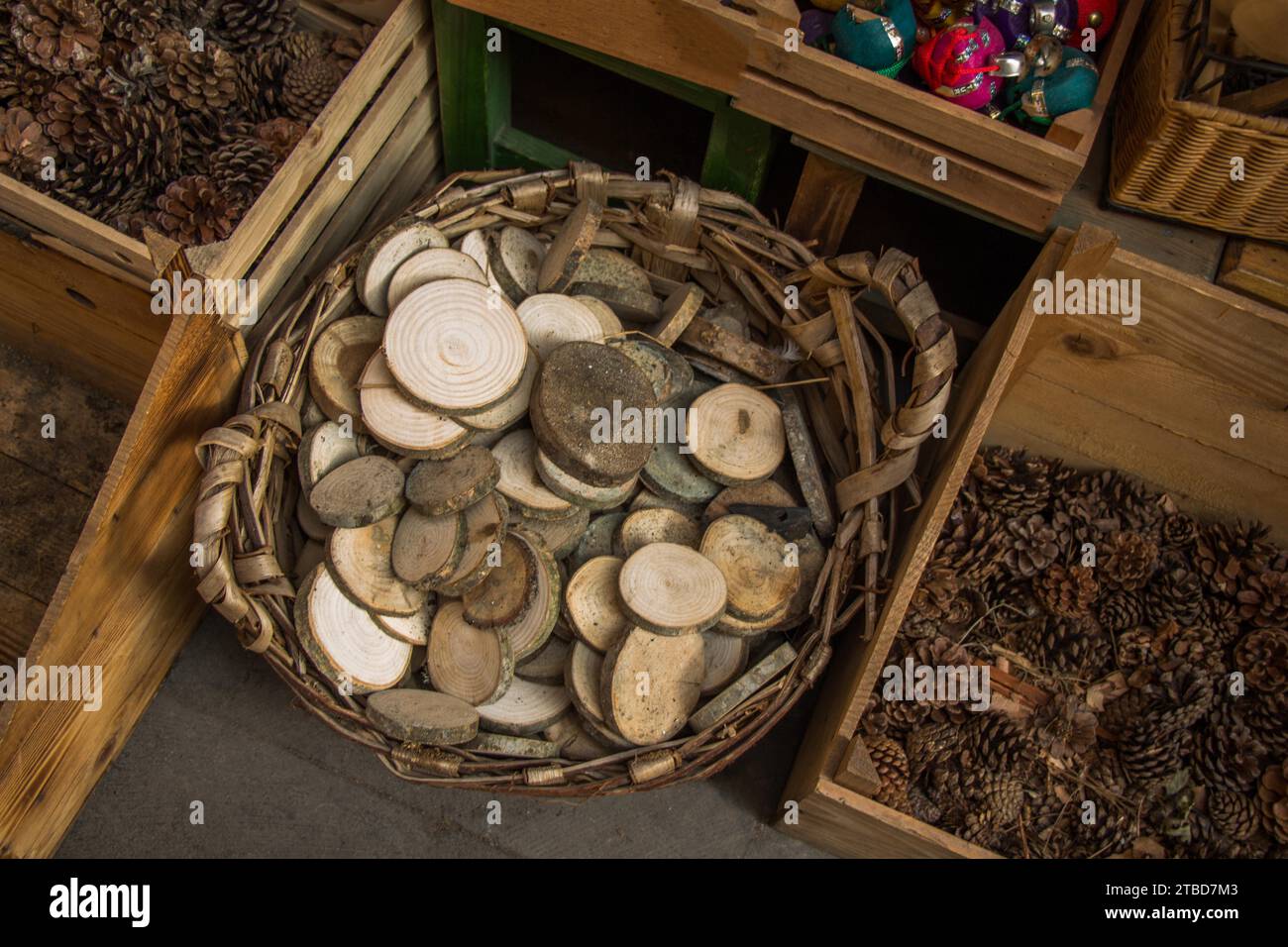 Wood Logs cut in round thin pieces on a white background Stock Photo ...