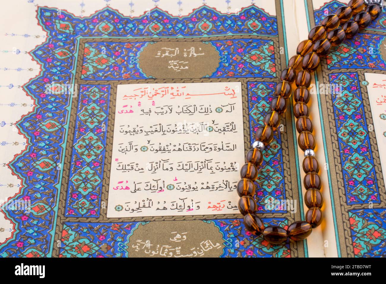 Hand holding The Holy Quran on a white background Stock Photo - Alamy