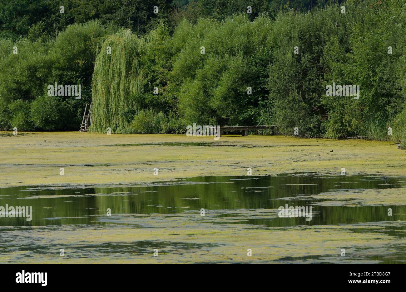 Local recreation area lake hi-res stock photography and images - Alamy