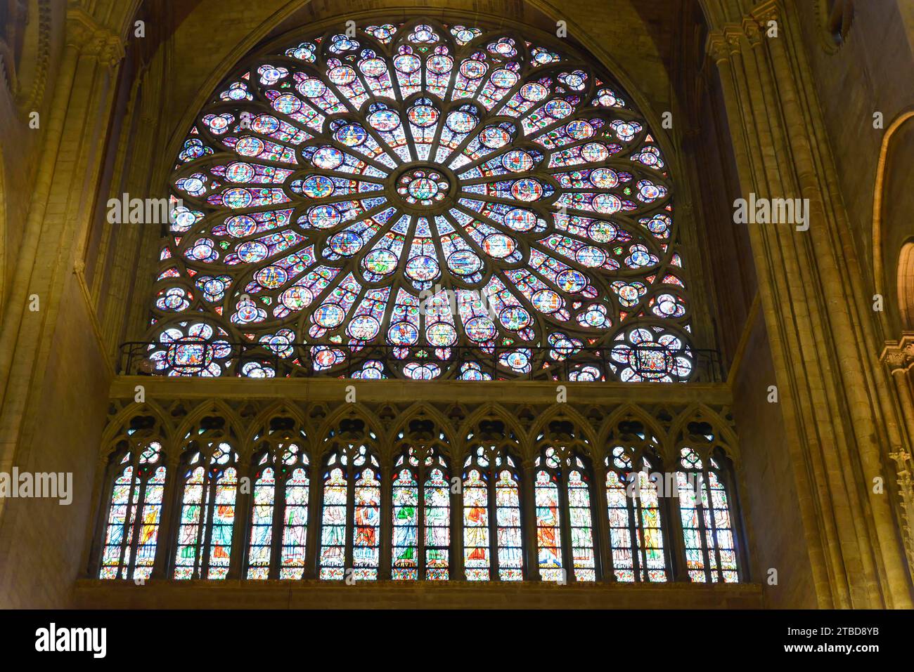 Rose window, stained glass window, Notre-Dame de Paris Cathedral, Ille ...