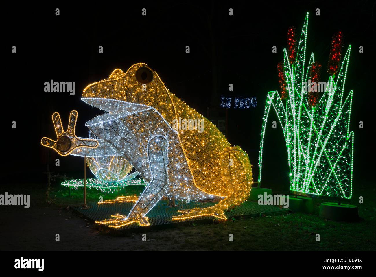 Le Frog, glowing frog, world of lights, municipal park, Magdeburg, most ...