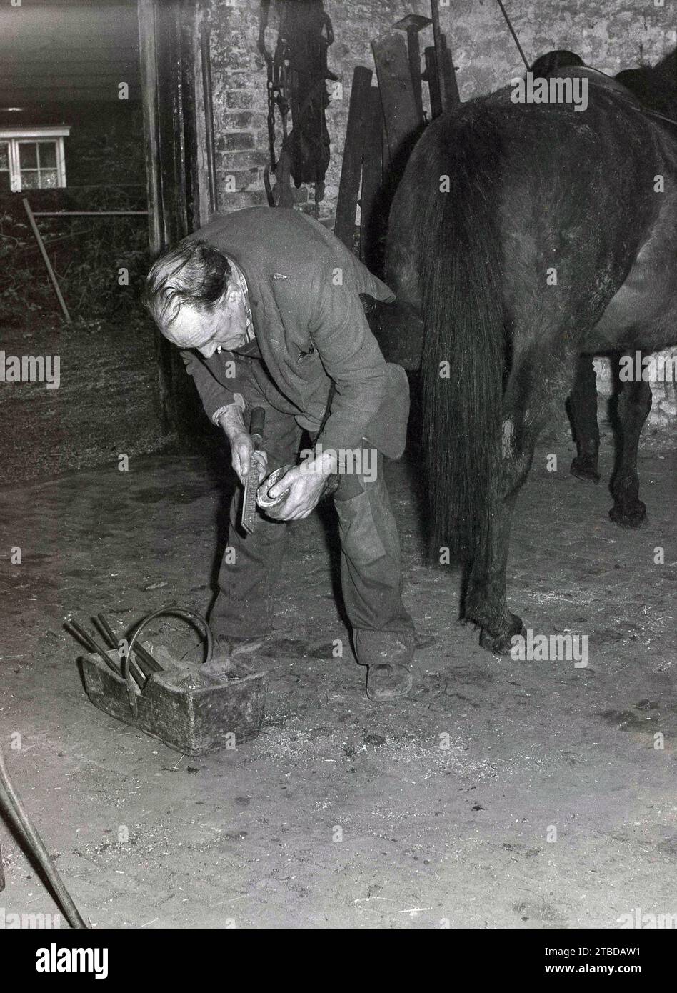 1970s, historical, inside a stables, a farrier shoeing a horse, England ...