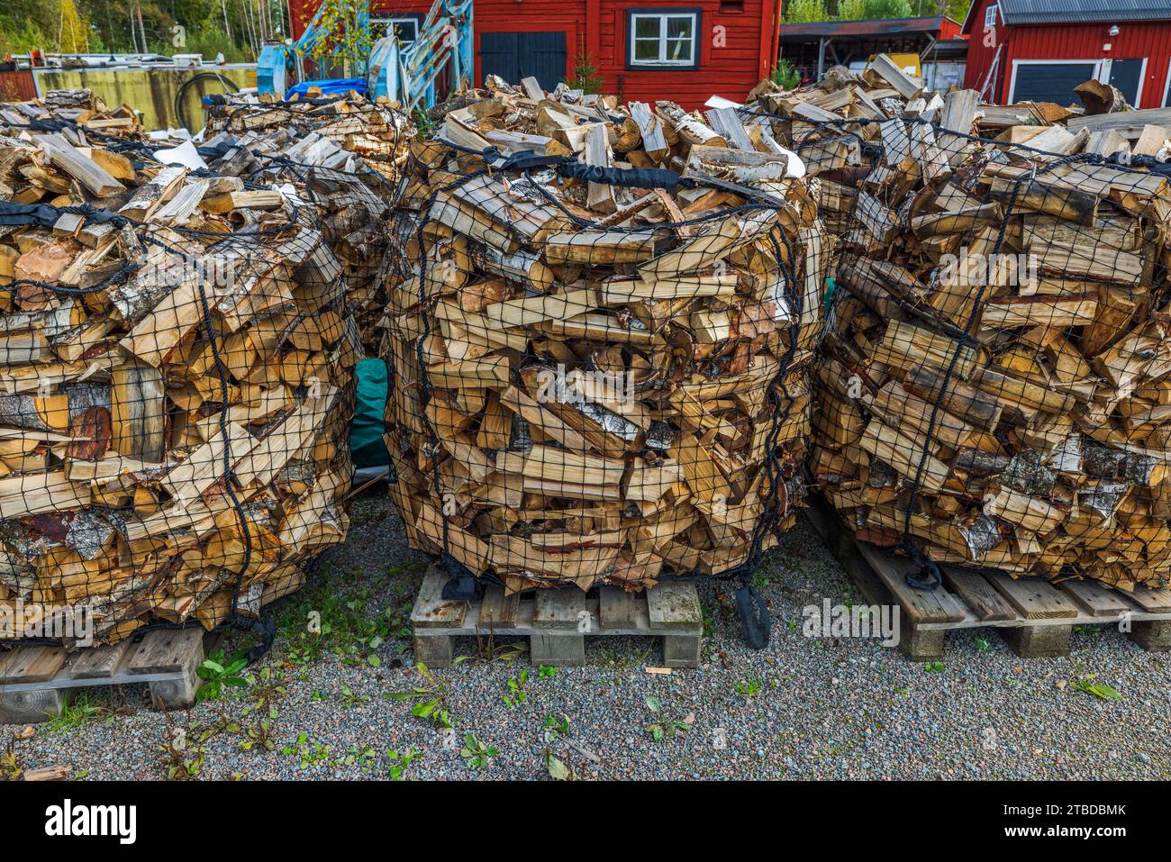 Pre-packaged birch logs, ready for sale, neatly bundled in transport ...