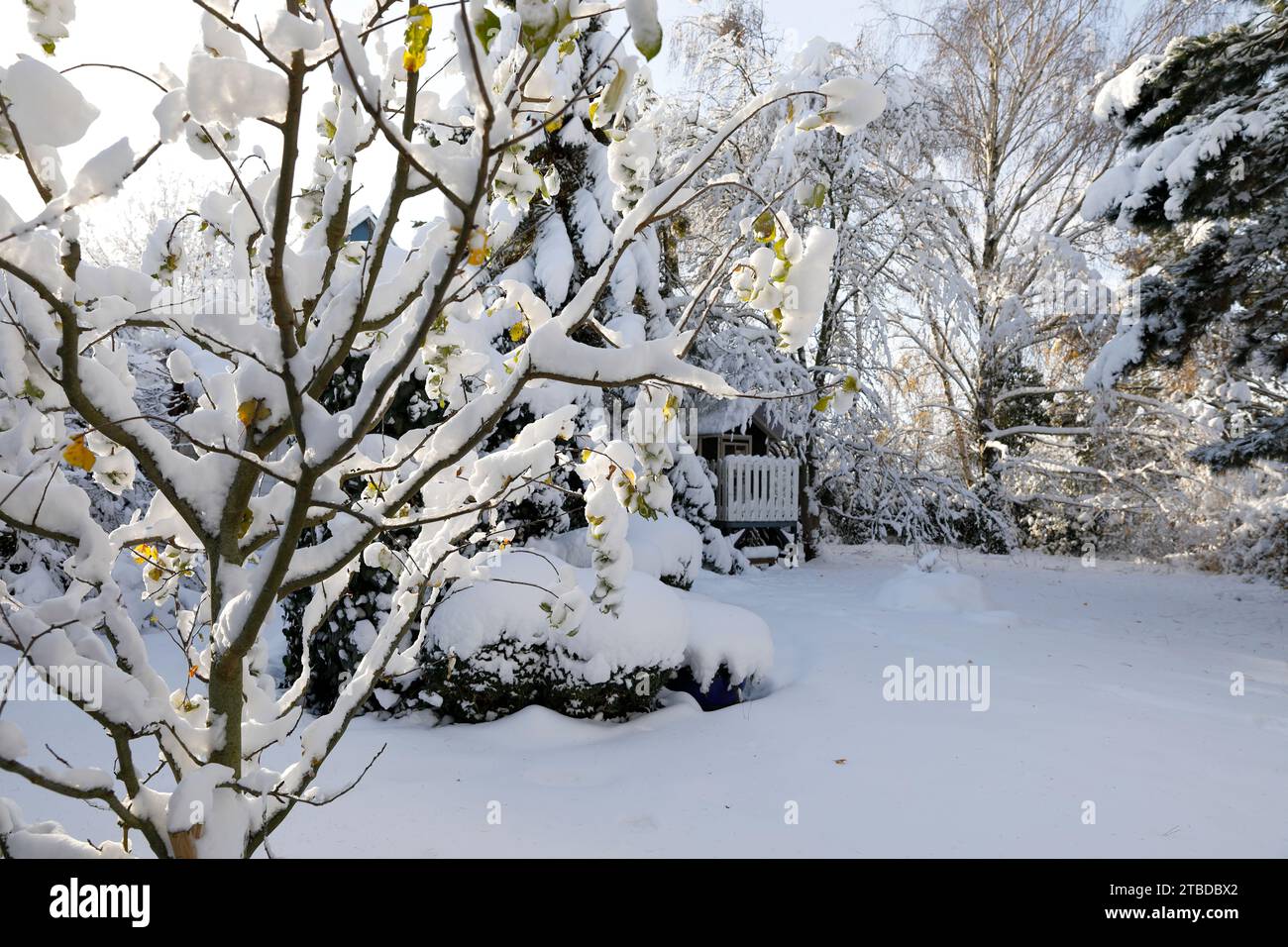 Fresh air garden hi-res stock photography and images - Alamy