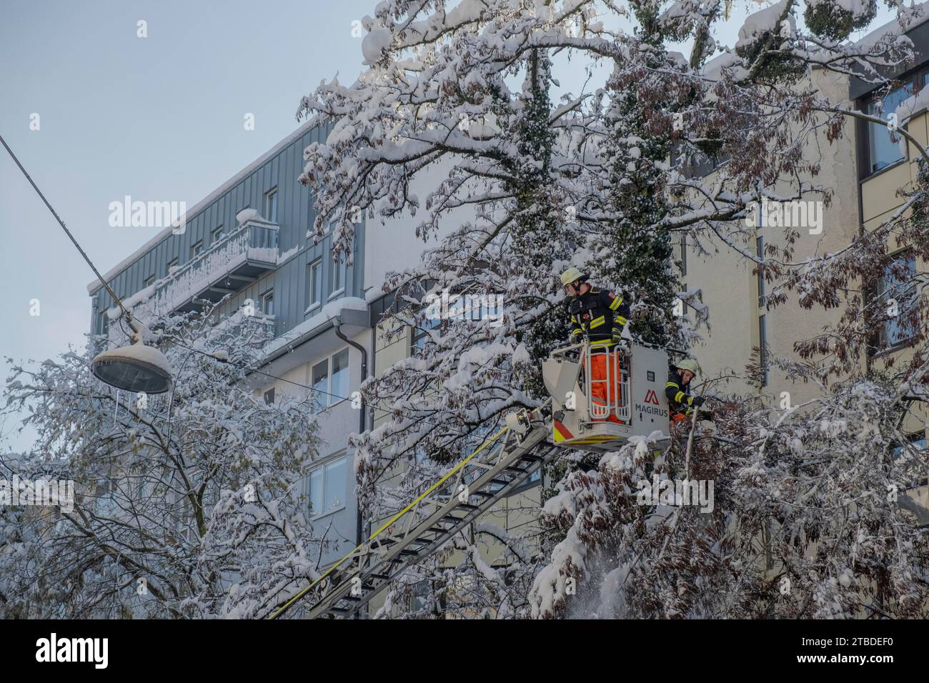 Fire brigade operation in winter, danger due to snow load on trees ...