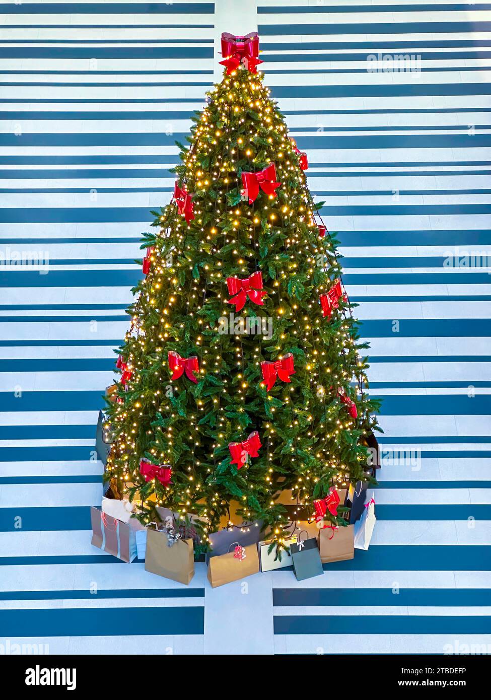 Tree barcode hi-res stock photography and images - Alamy