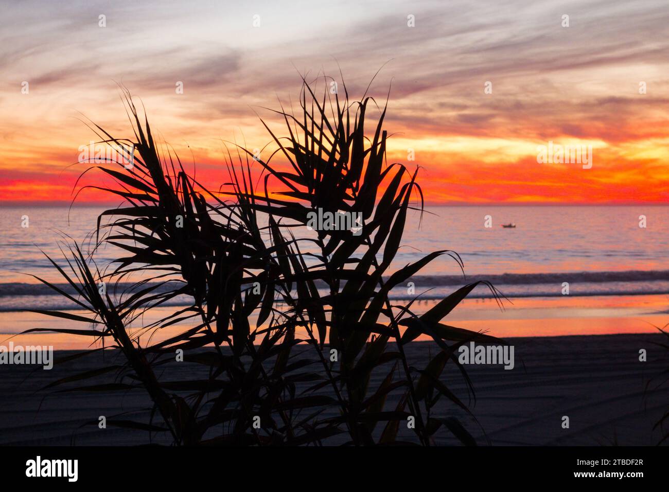 Sunset over the pacific ocean in Santa Monica, California. Taken from ...