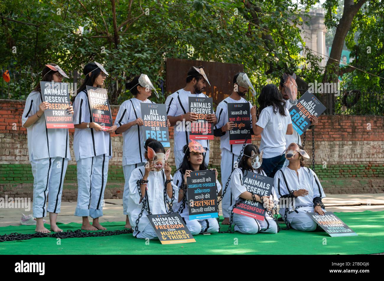 Prisoners and animals hi-res stock photography and images - Alamy