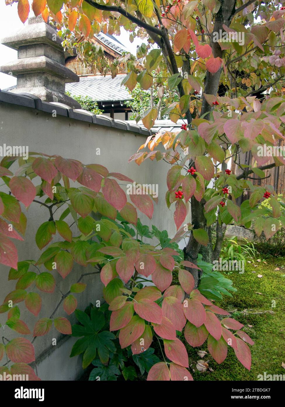 Shoden Eigen-in Temple at the head of Kenninji Temple at Kyoto Stock ...