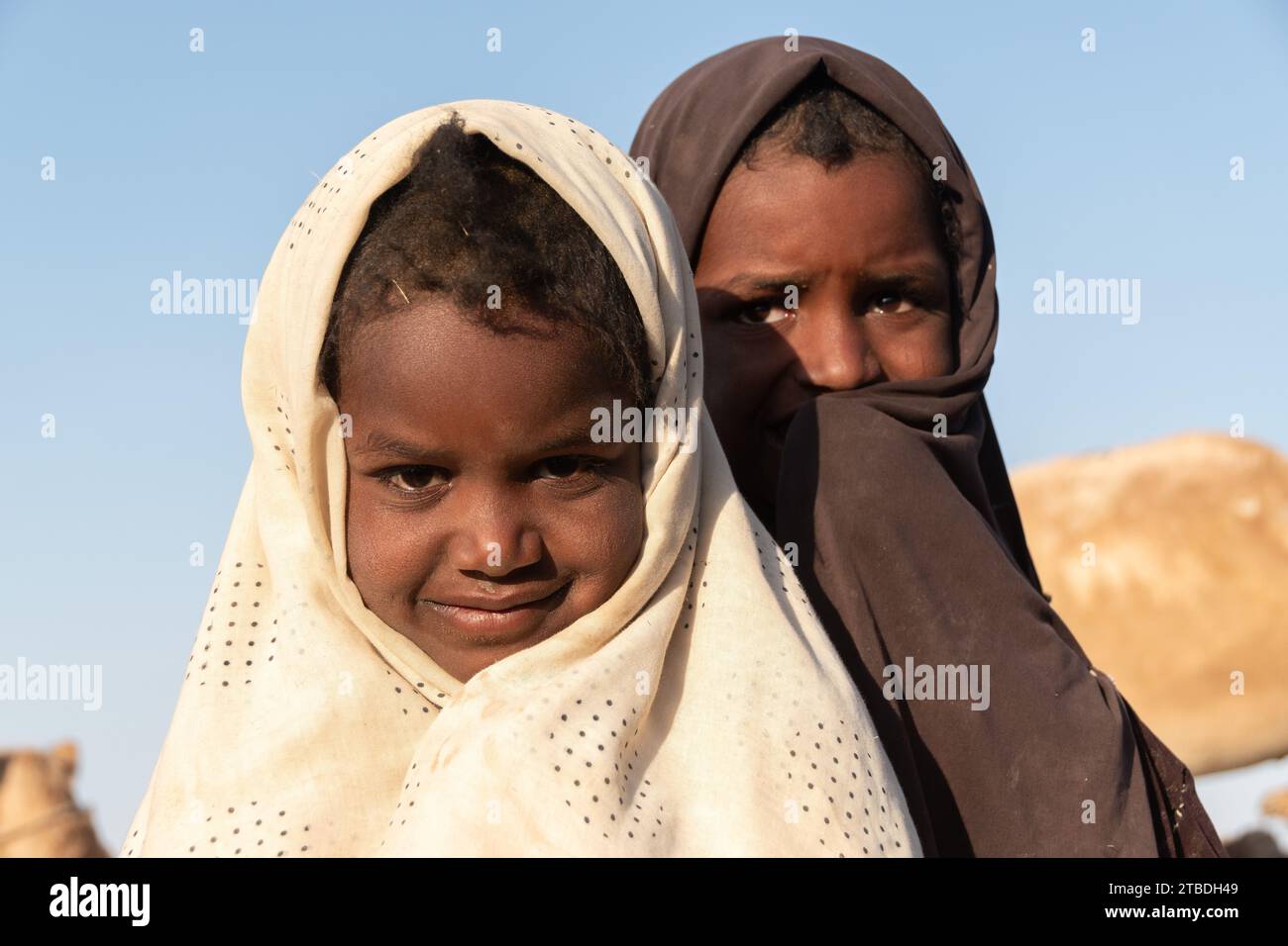 Nomada de chad hi-res stock photography and images - Alamy