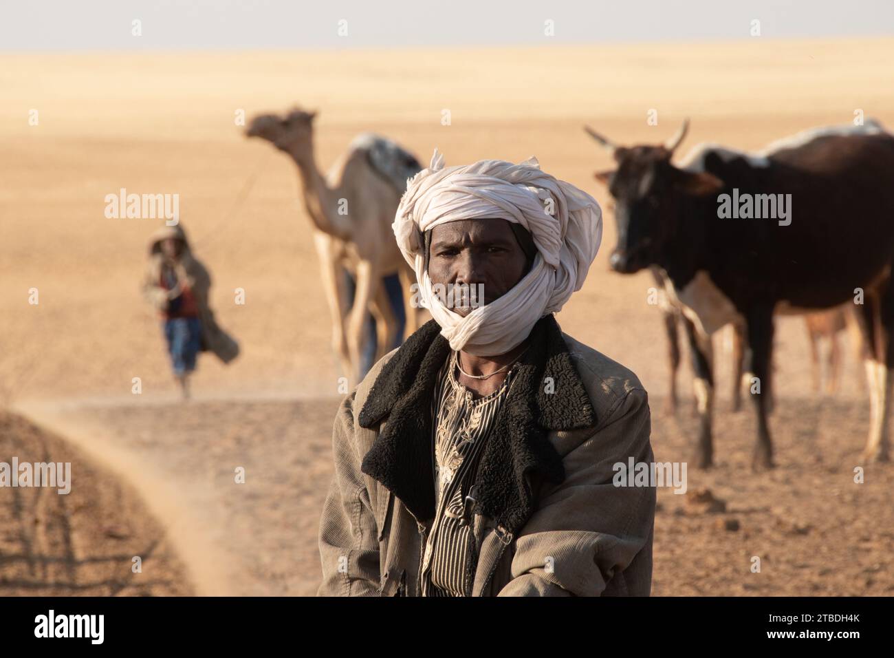 Nomad lifestyle in the desert of Chad Stock Photo - Alamy
