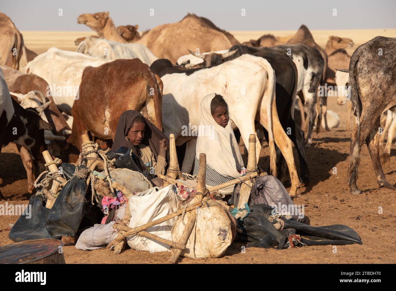 Nomadas de chad hi-res stock photography and images - Alamy