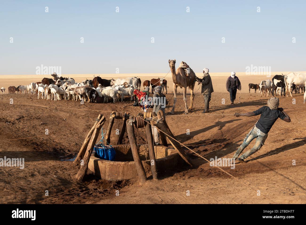 Life around a desert well in chad Stock Photo - Alamy