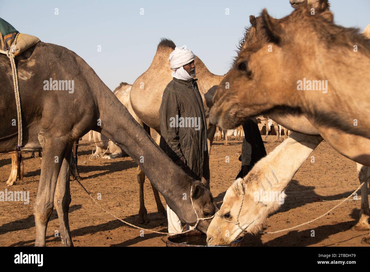 Desert well hi-res stock photography and images - Alamy