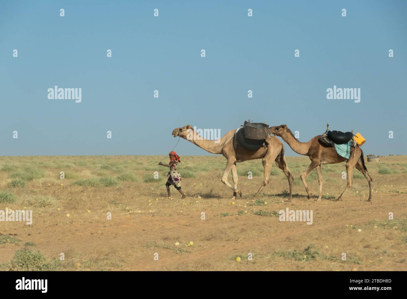 nomad people in chad Stock Photo - Alamy