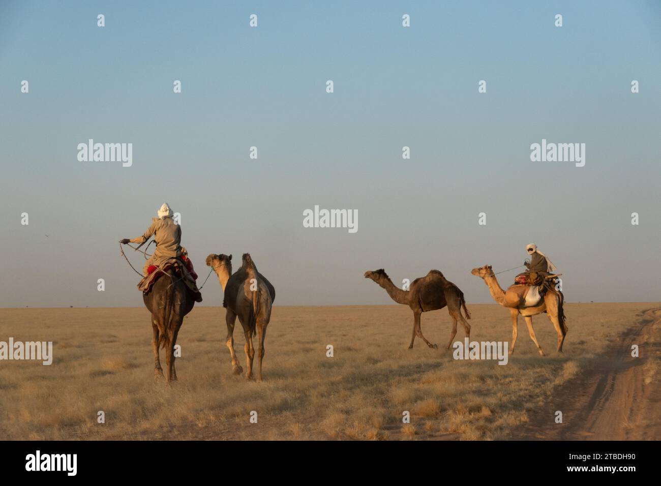 nomad people in chad Stock Photo - Alamy