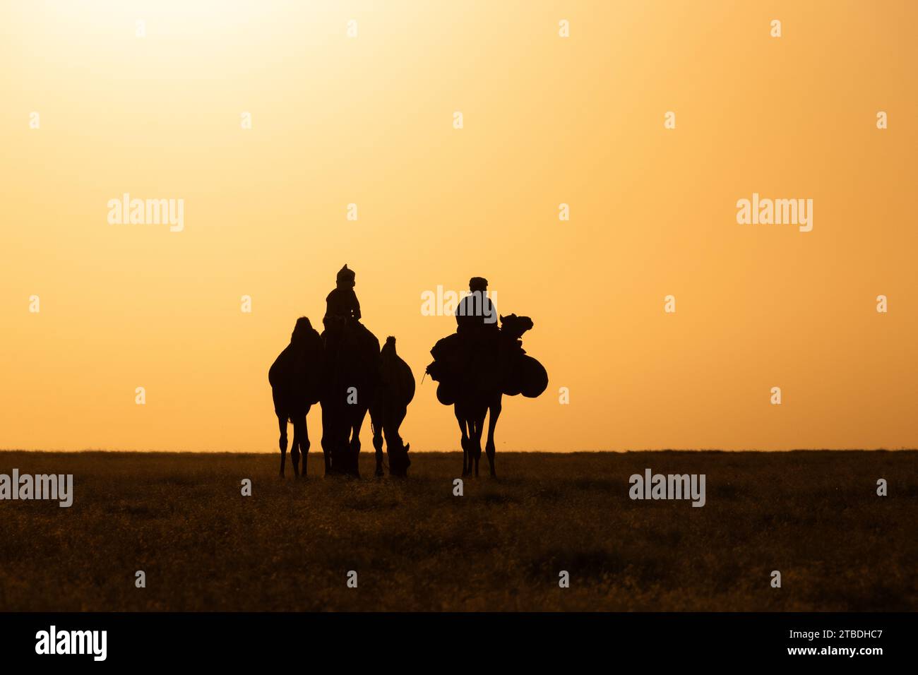 magical sunset in the desert, chad, africa Stock Photo - Alamy