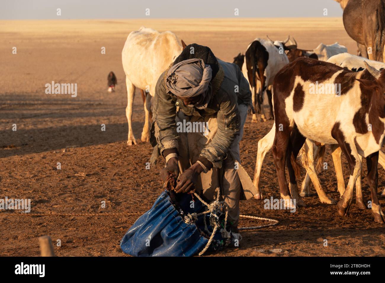 Life around a desert well in chad Stock Photo - Alamy