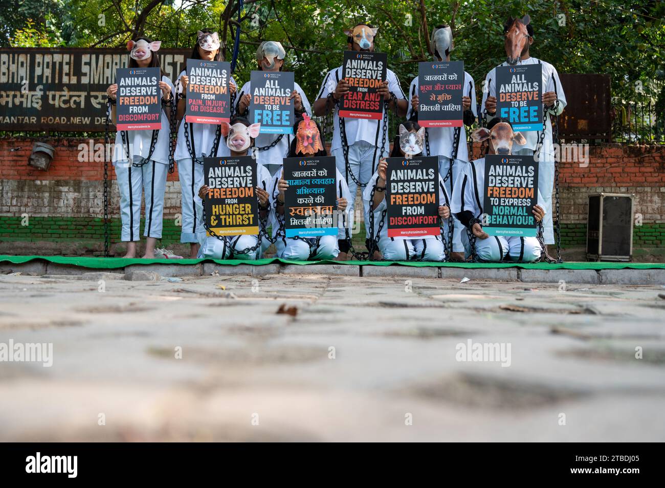 Prisoners and animals hi-res stock photography and images - Alamy