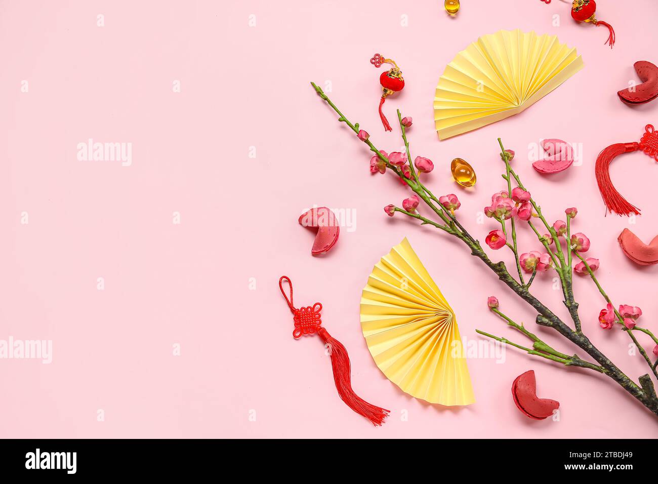 Composition with blooming sakura branch, fortune cookies and Chinese ...