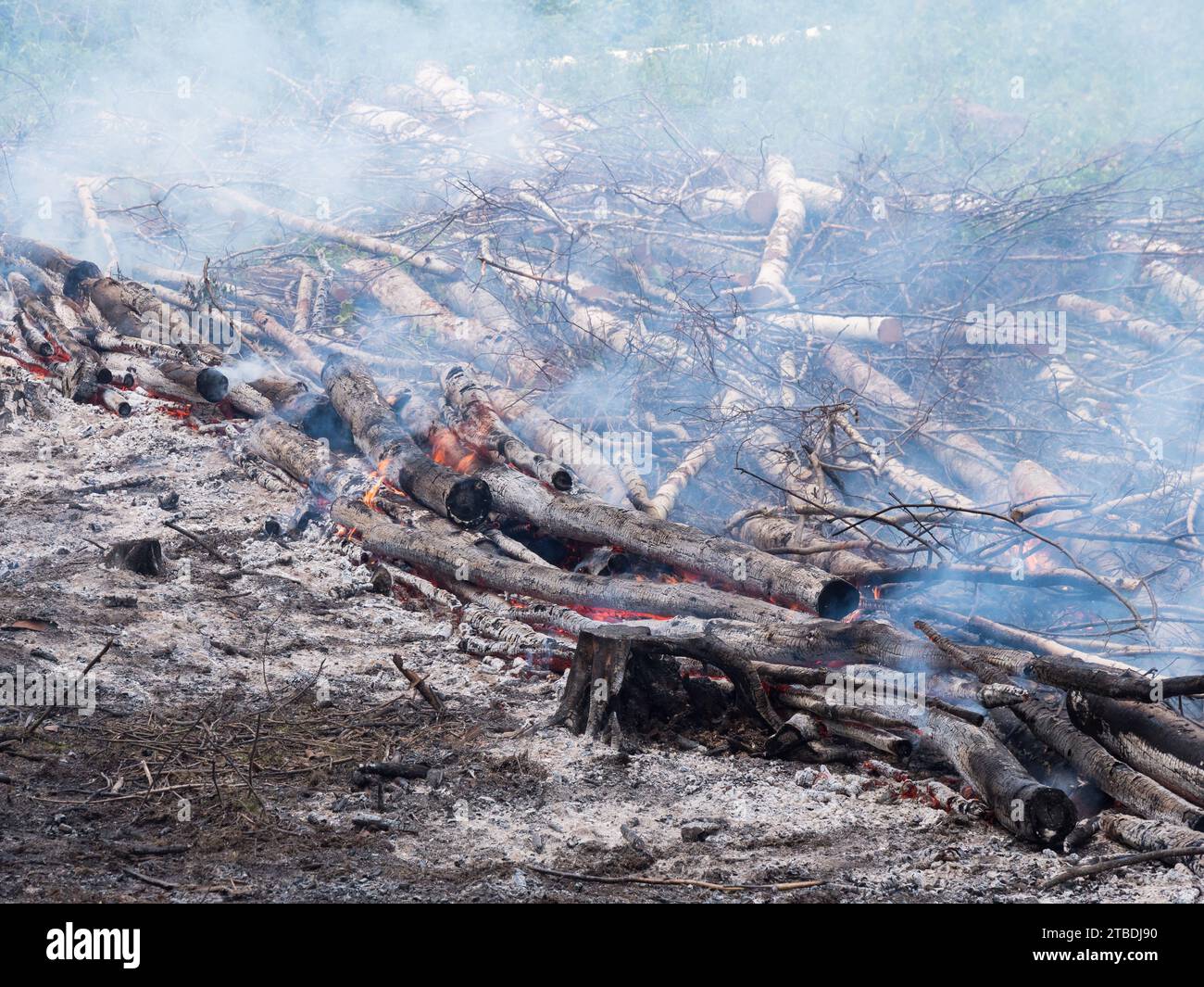 Smoking coal fire hi-res stock photography and images - Alamy