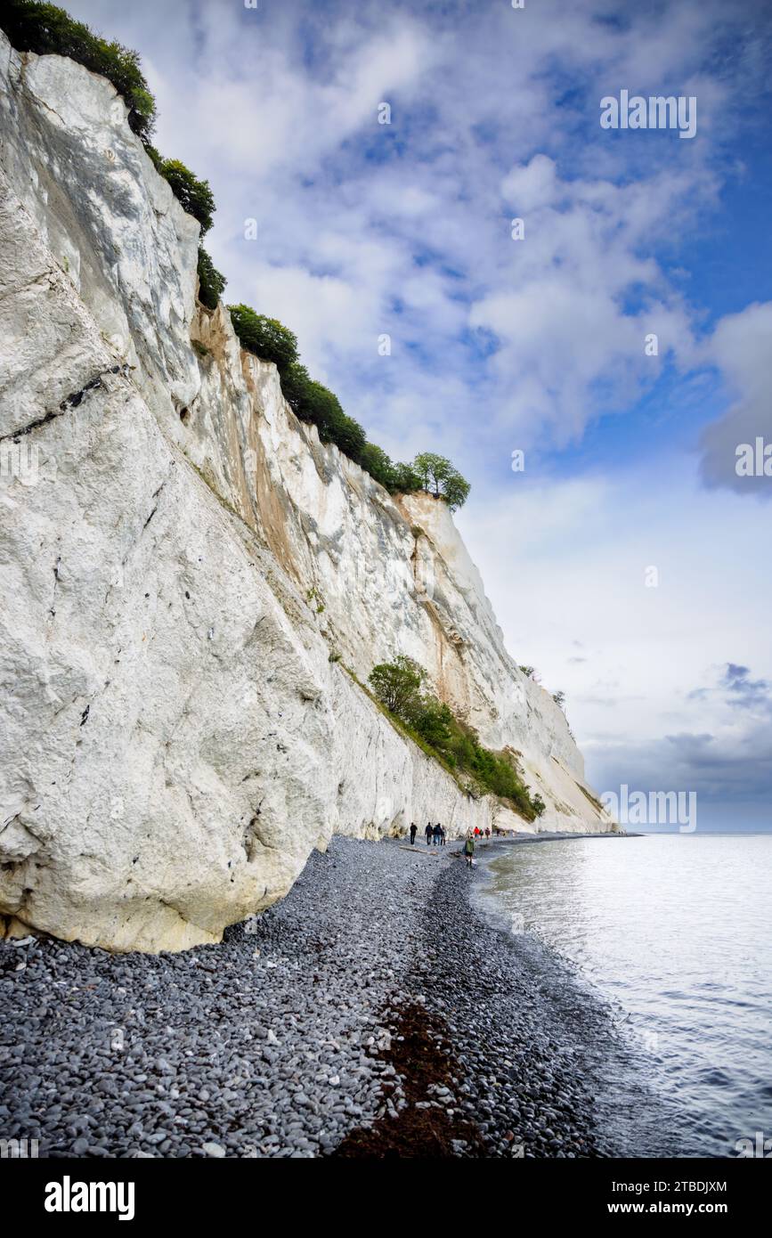 Mons Klint, a cliff coast on the island Mon in the baltic sea, Denmark ...