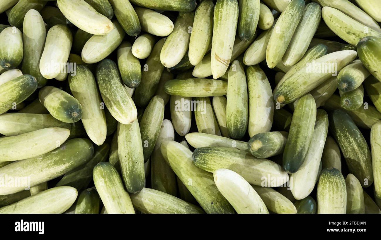 Cucumbers top view, greenhouse cucumbers, long cucumbers, vegetables ...